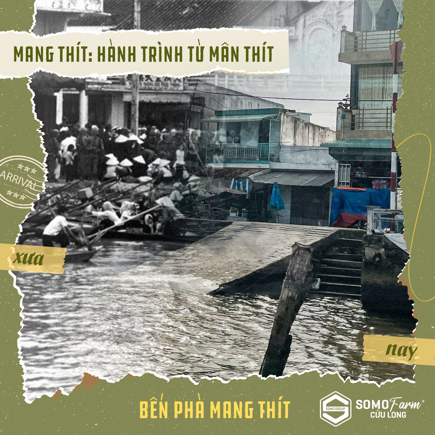 Mang Thit: A Journey from Man Thit. - Somofarm Cửu Long