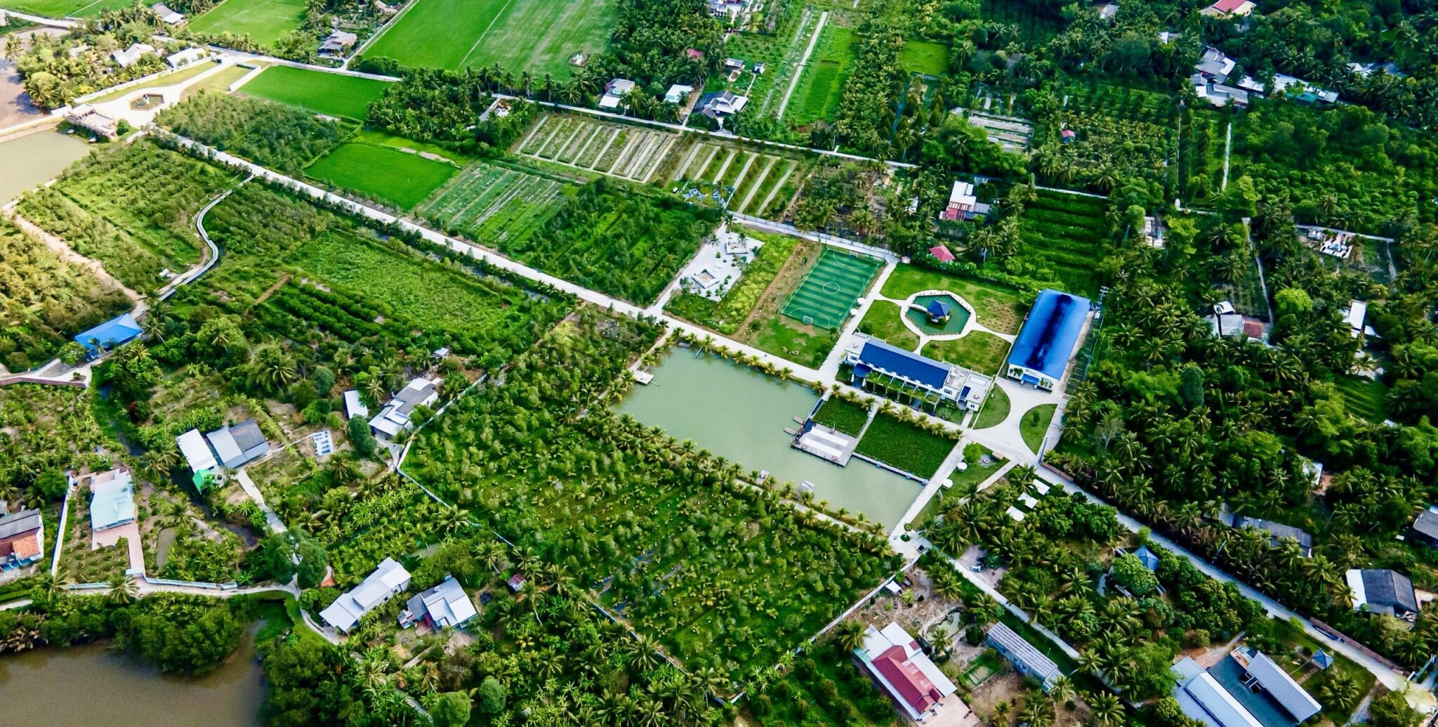 SOMO FARM CỬU LONG CHÍNH THỨC NHẬN CHỨNG NHẬN SẢN PHẨM OCOP 4 SAO TỈNH ...